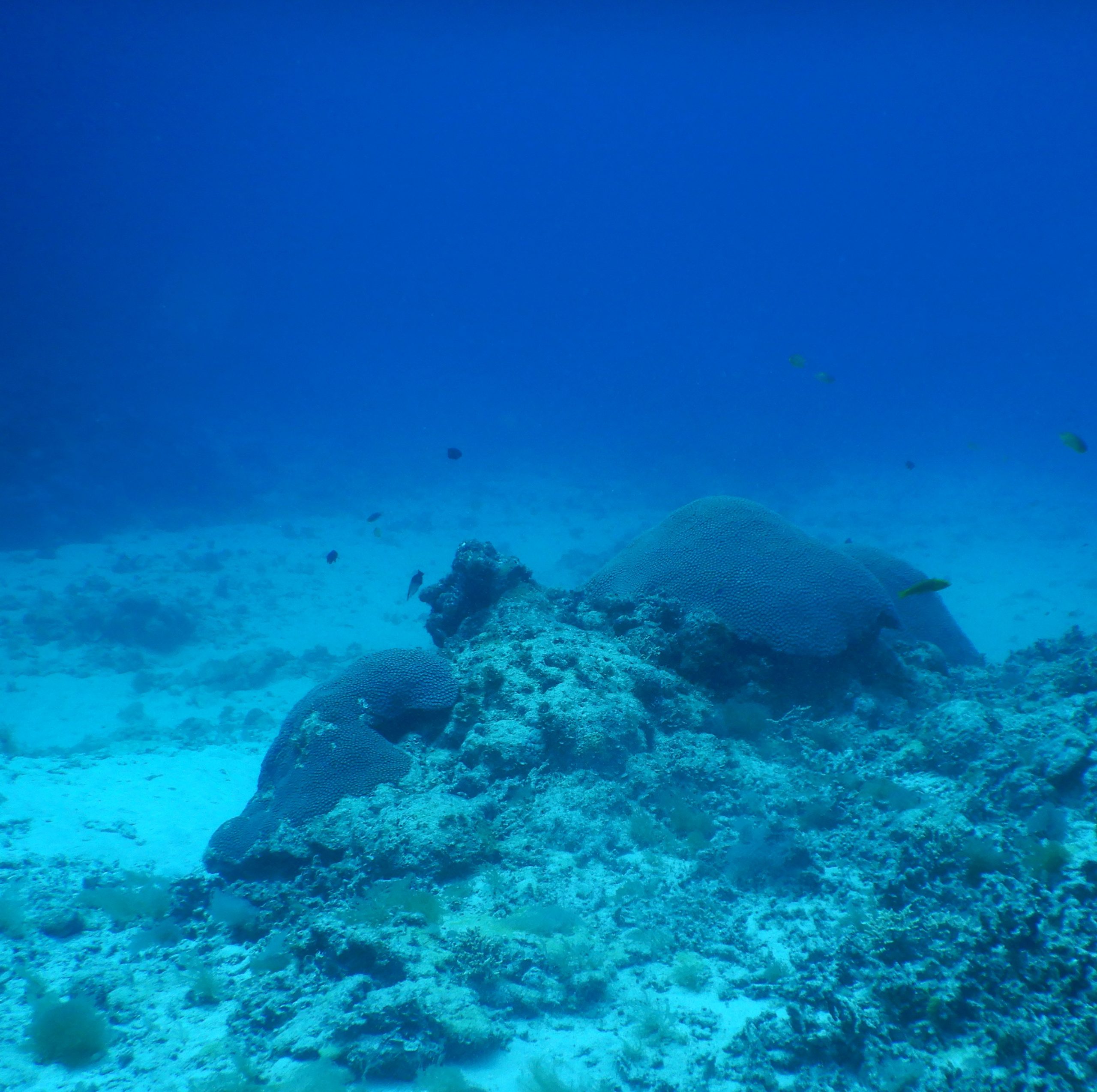 SLASH｜GAME FISHING