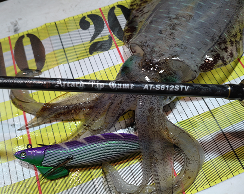 特集ページ｜SLASH｜GAME FISHING